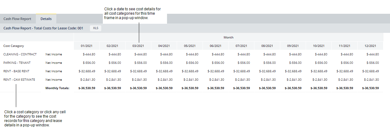 Cash Flow Report